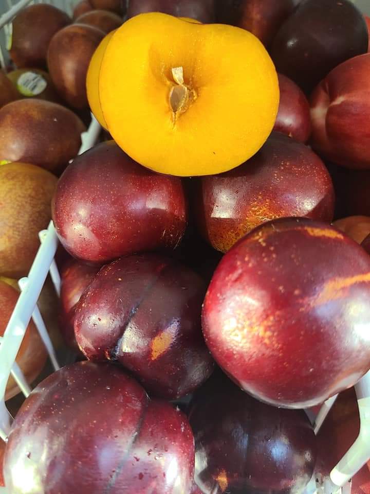 Pluot - Yellow Flesh Pluot - per lb. – Cypress Creek Co Op