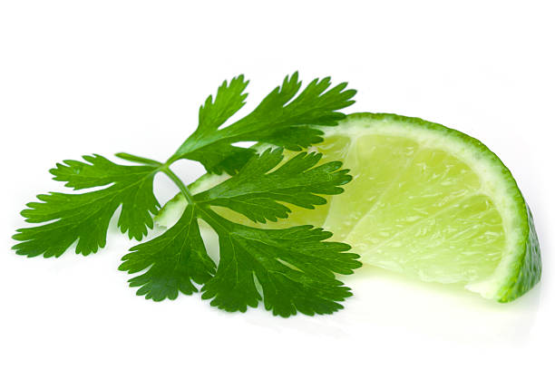 Cilantro/Lemon/Lime Mix – Cypress Creek Co Op