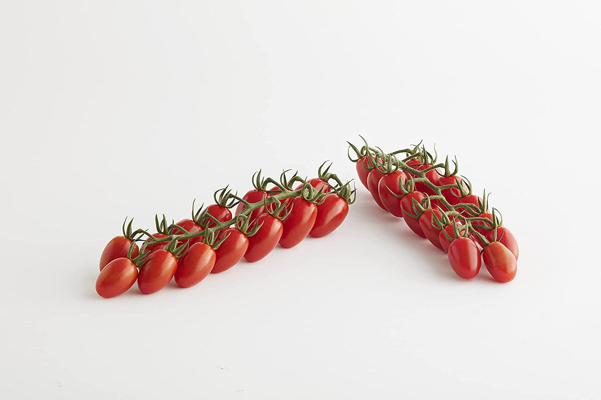 Tomatoes - Sugar Bomb Tomatoes on the Vine – Cypress Creek Co Op